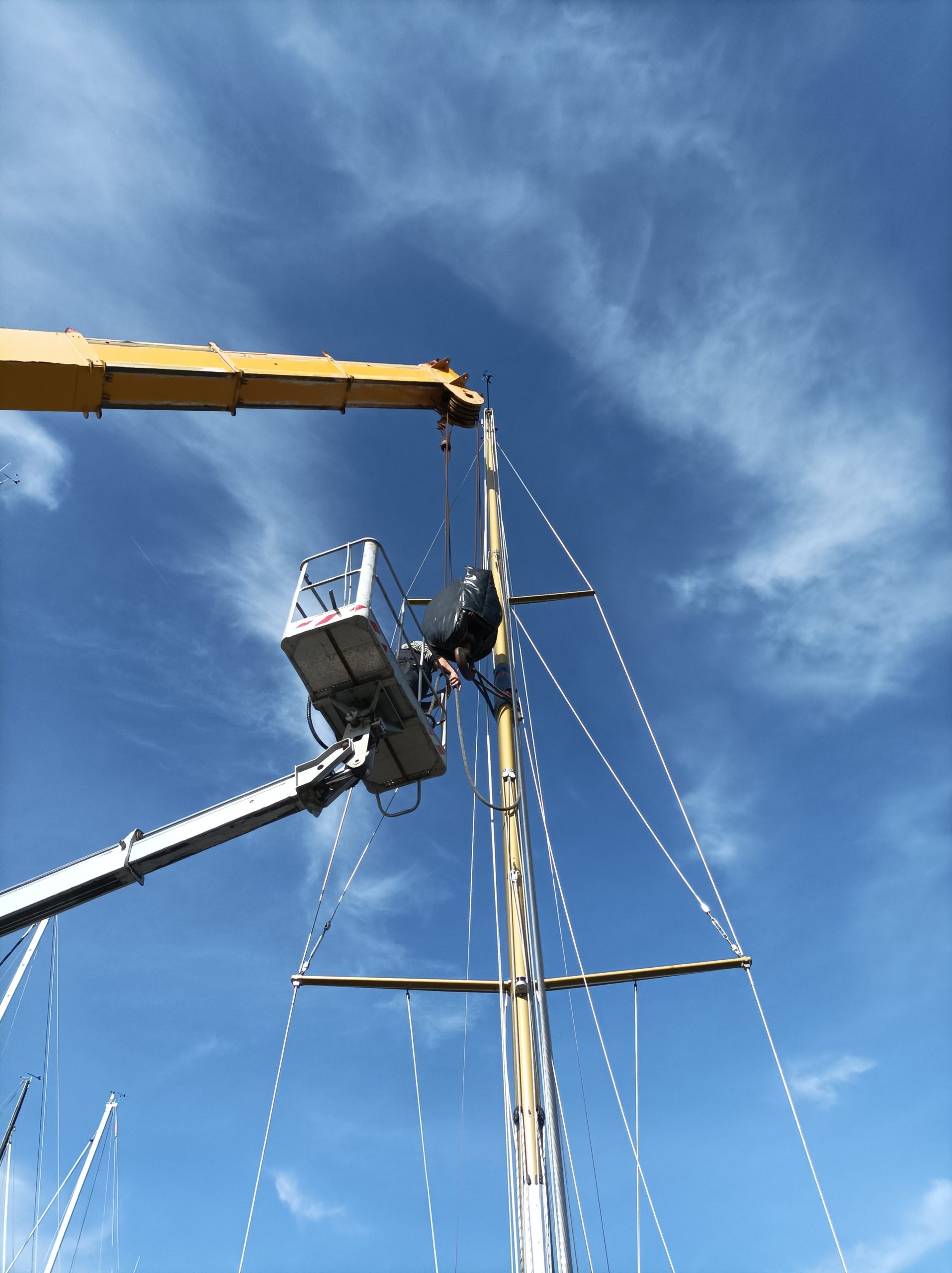 Déjà préparé pour l’hiver ! – Les amis de yanica (en vente)